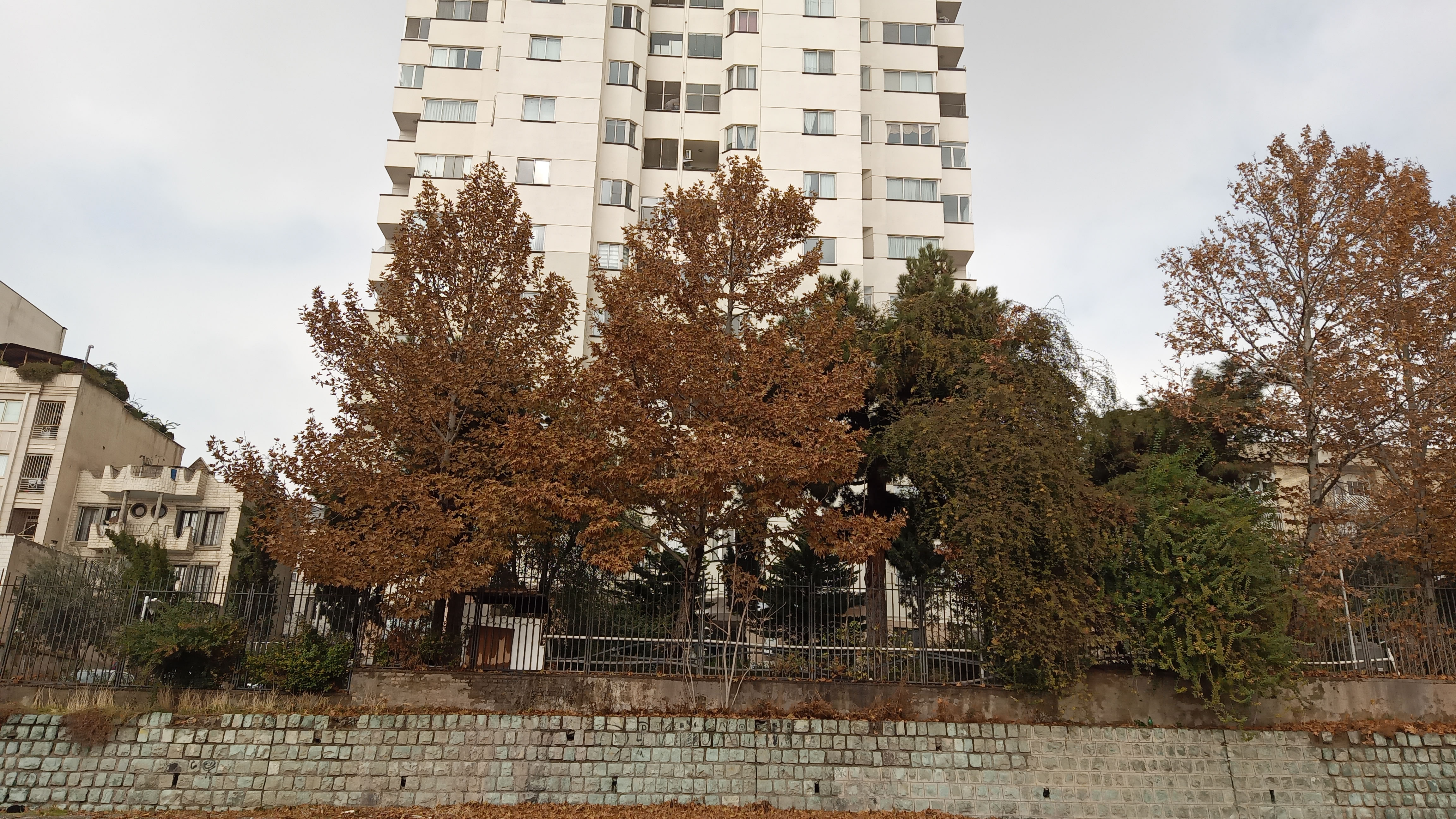 بررسی تخصصی | GLX Shahin 2 – تراژدی کیفیت در کورسوی امید | mobile.ir ...