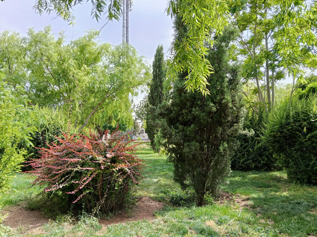 بررسی تخصصی | Realme C75 - زره‌پوش در نبرد نابرابر | mobile.ir - مرجع ...