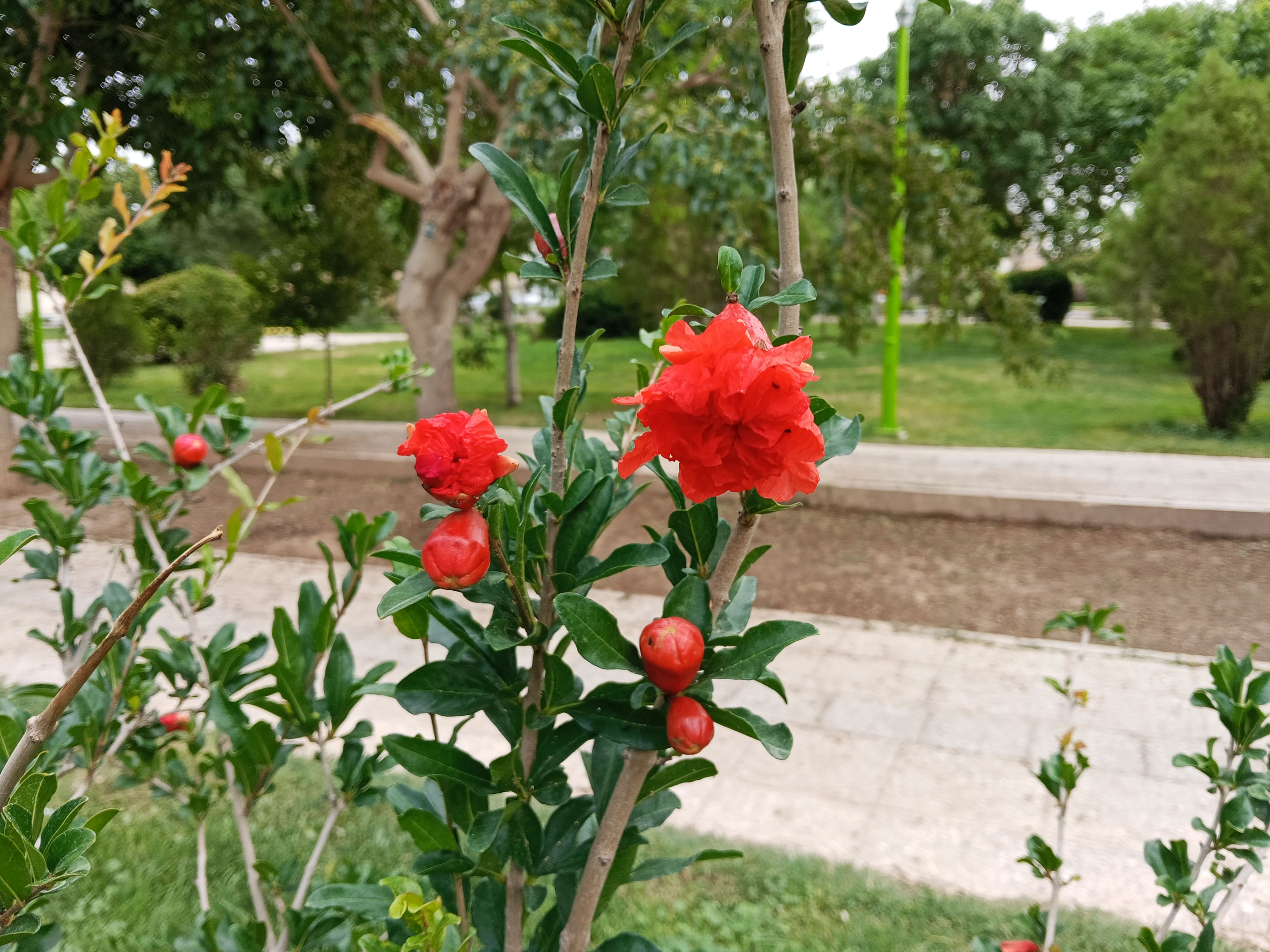 بررسی تخصصی | Realme C75 - زره‌پوش در نبرد نابرابر | mobile.ir - مرجع ...